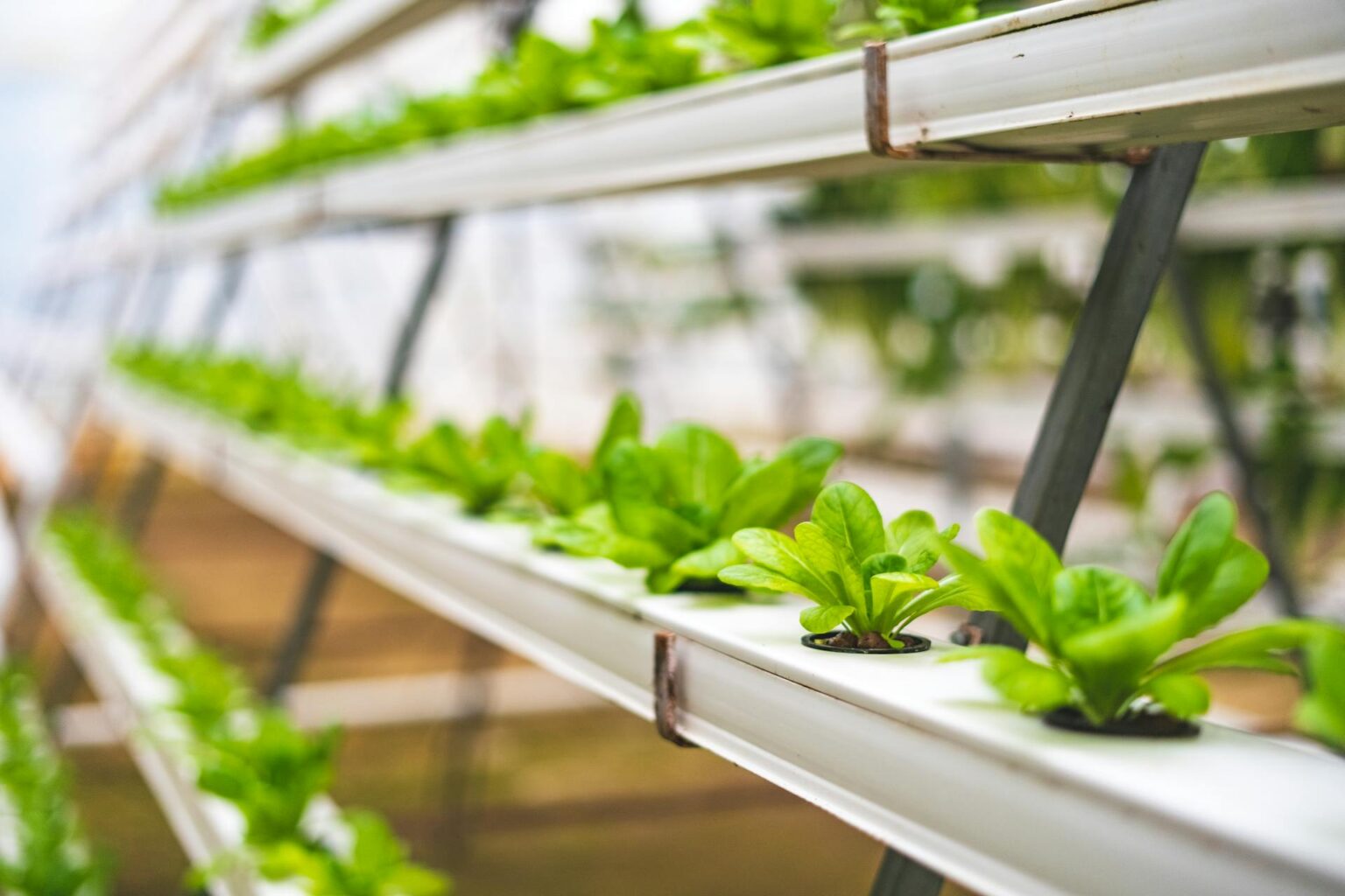 Modern and Smart Agriculture using Hydroponics and Vertical Farming ...